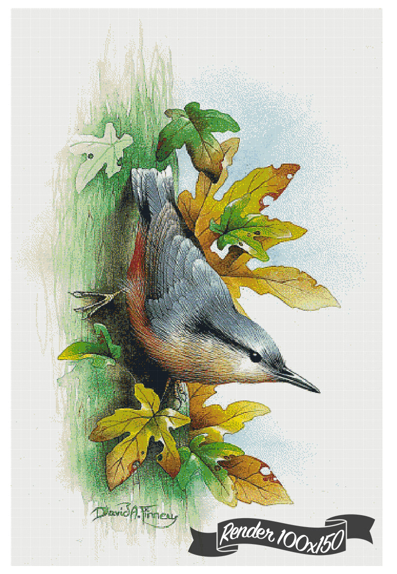Autumn Nuthatch ©David Finney – The One With The Diamond Art