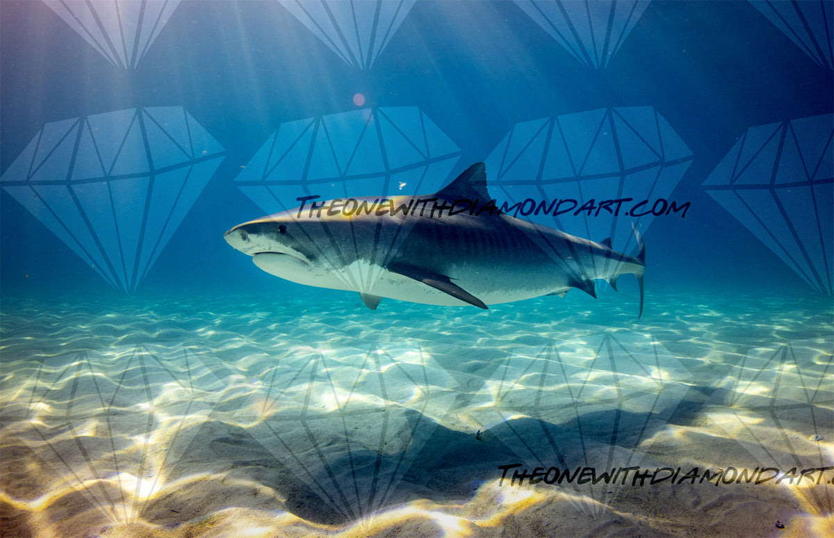 Shark In The Deep – The One With The Diamond Art